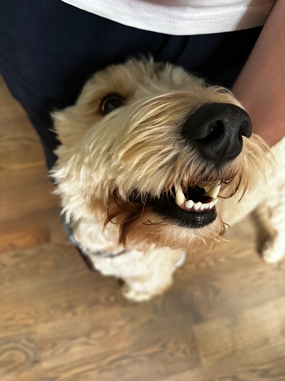 An evening at the lake – DT Seminar